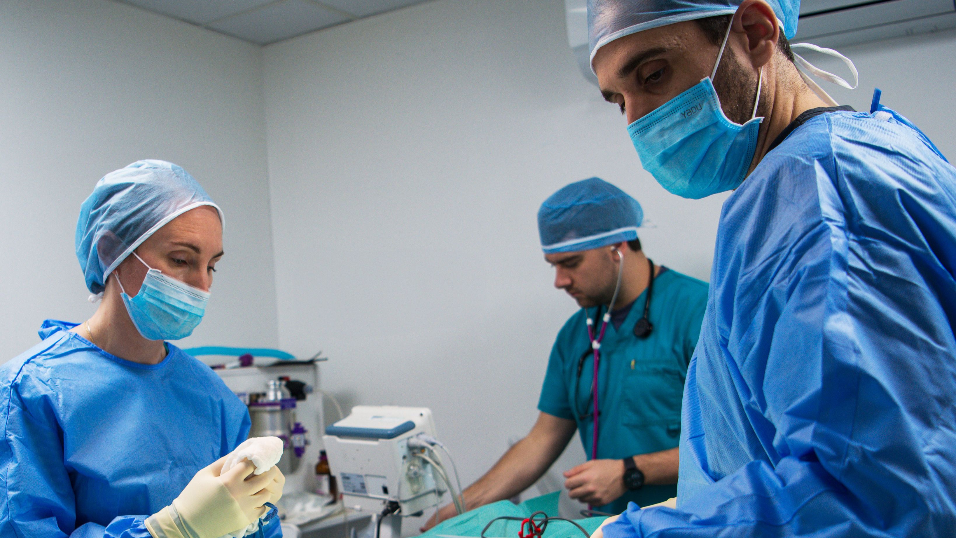 Thoracic Surgery | Animal Trust