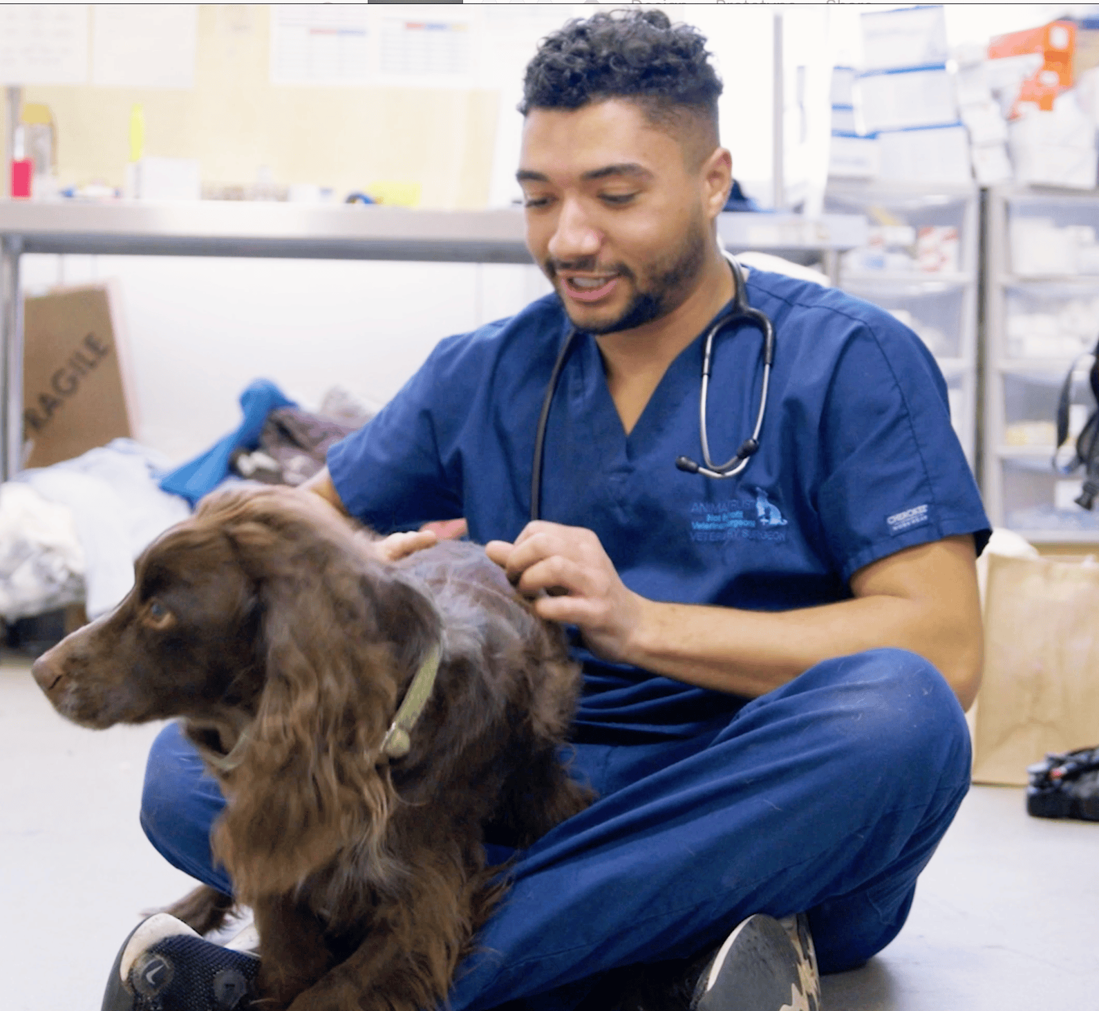 Extra Mural Studies Veterinary Students | Animal Trust Vets