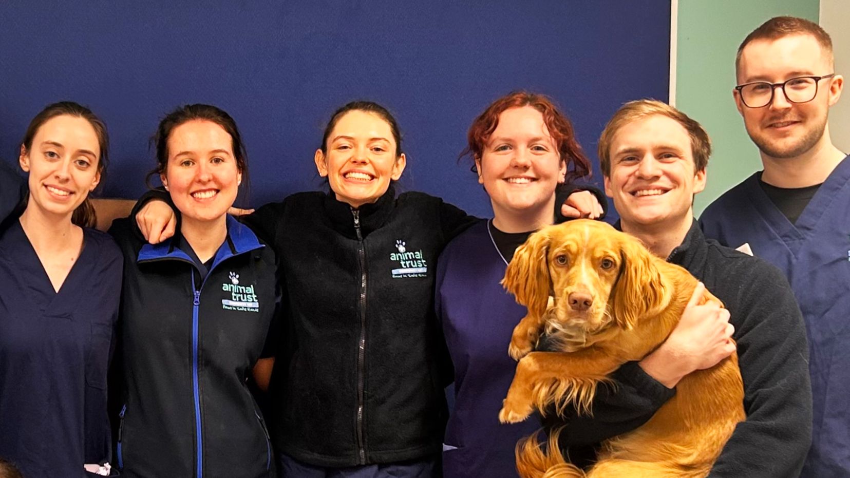 New Graduate Vet Programme | Animal Trust