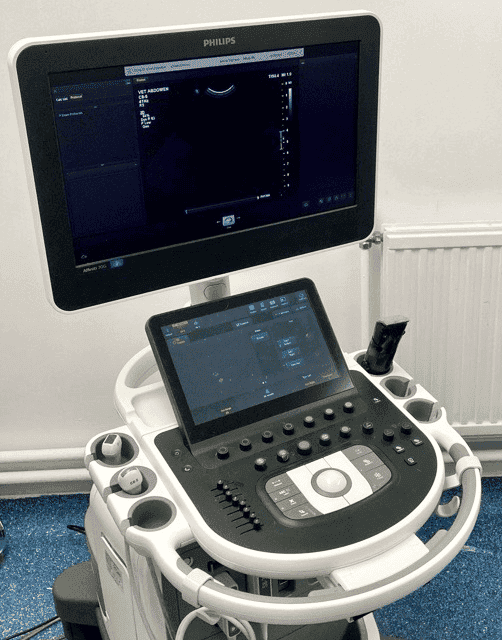 Pet Ultrasound | Animal Trust Vets