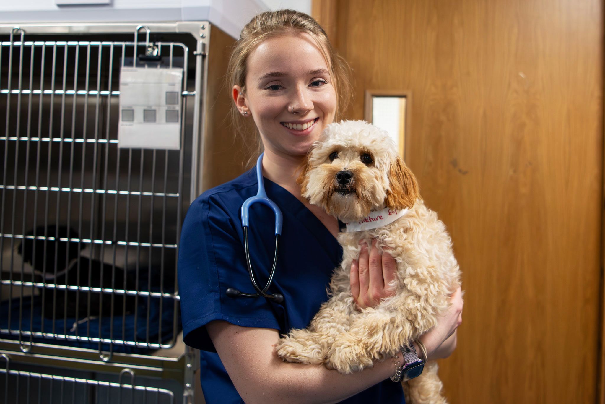 Vets in St Helens | Animal Trust Vets