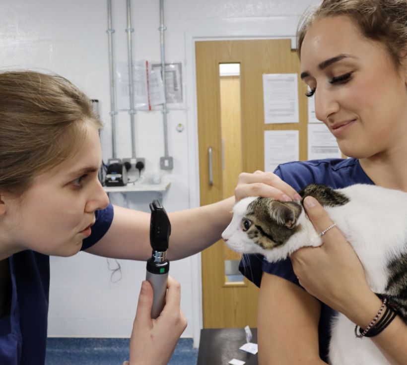 Vets In Blackburn | Animal Trust | Free Consultations