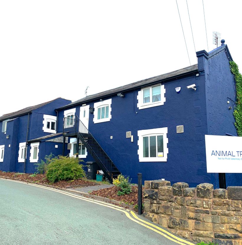 Vets In Wrexham | Animal Trust | Free Consultations